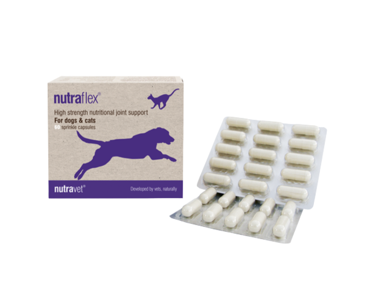 Nutravet - Supplement for Dogs & Cats - Nutraflex Joint Support - 60CA ...